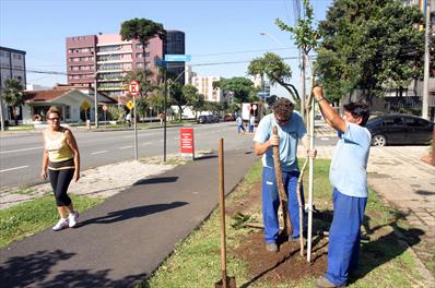Plano de Arborização levou 9 mil novas árvores para quatro bairros ...