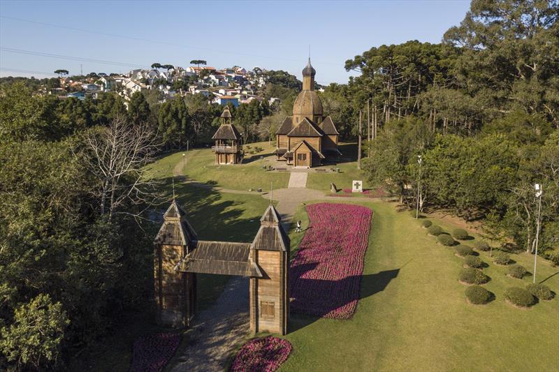 Conheça as árvores que compõem a paisagem de Curitiba - Prefeitura de ...