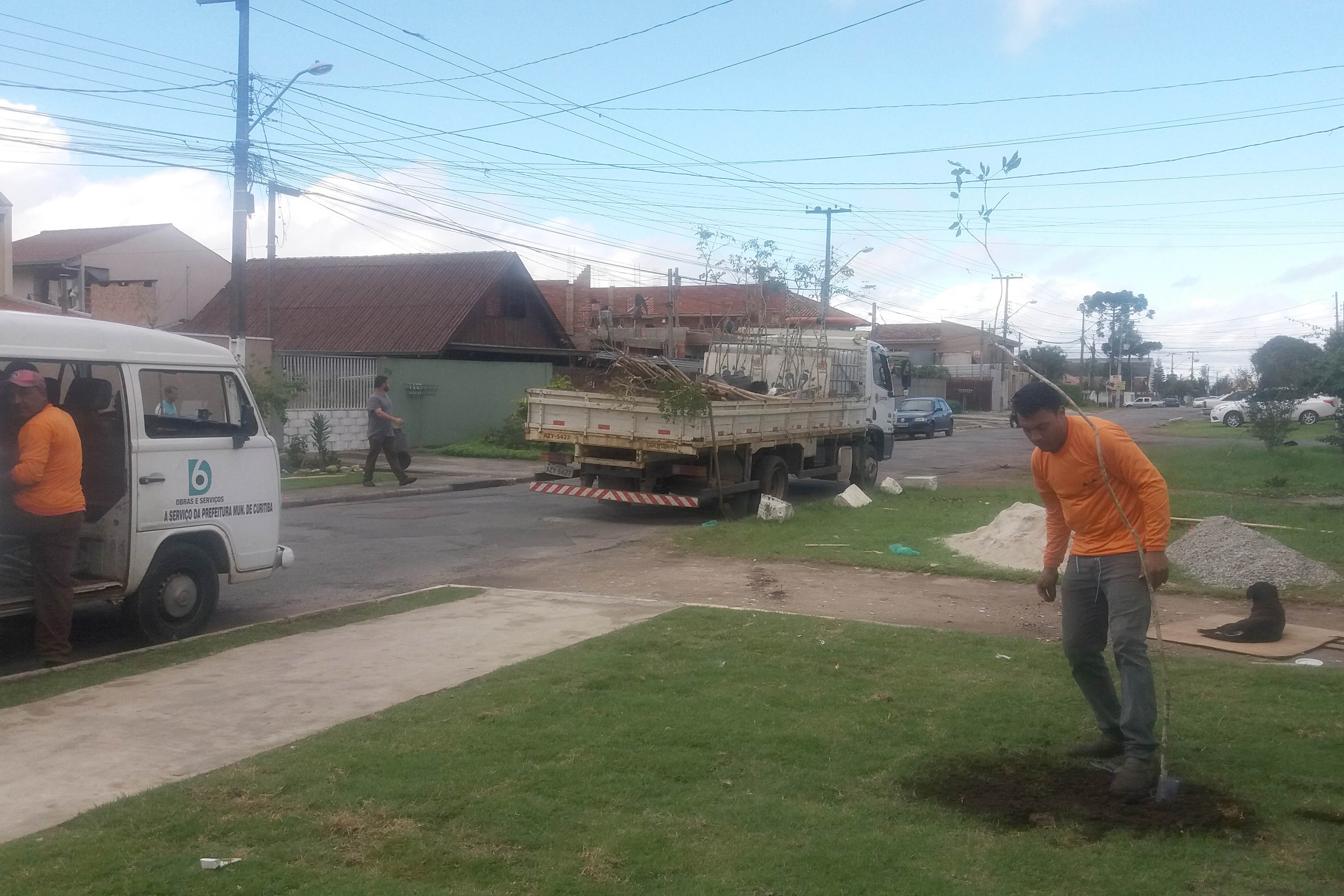 Ruas do Cajuru ganham plantio de mil árvores - Prefeitura de Curitiba