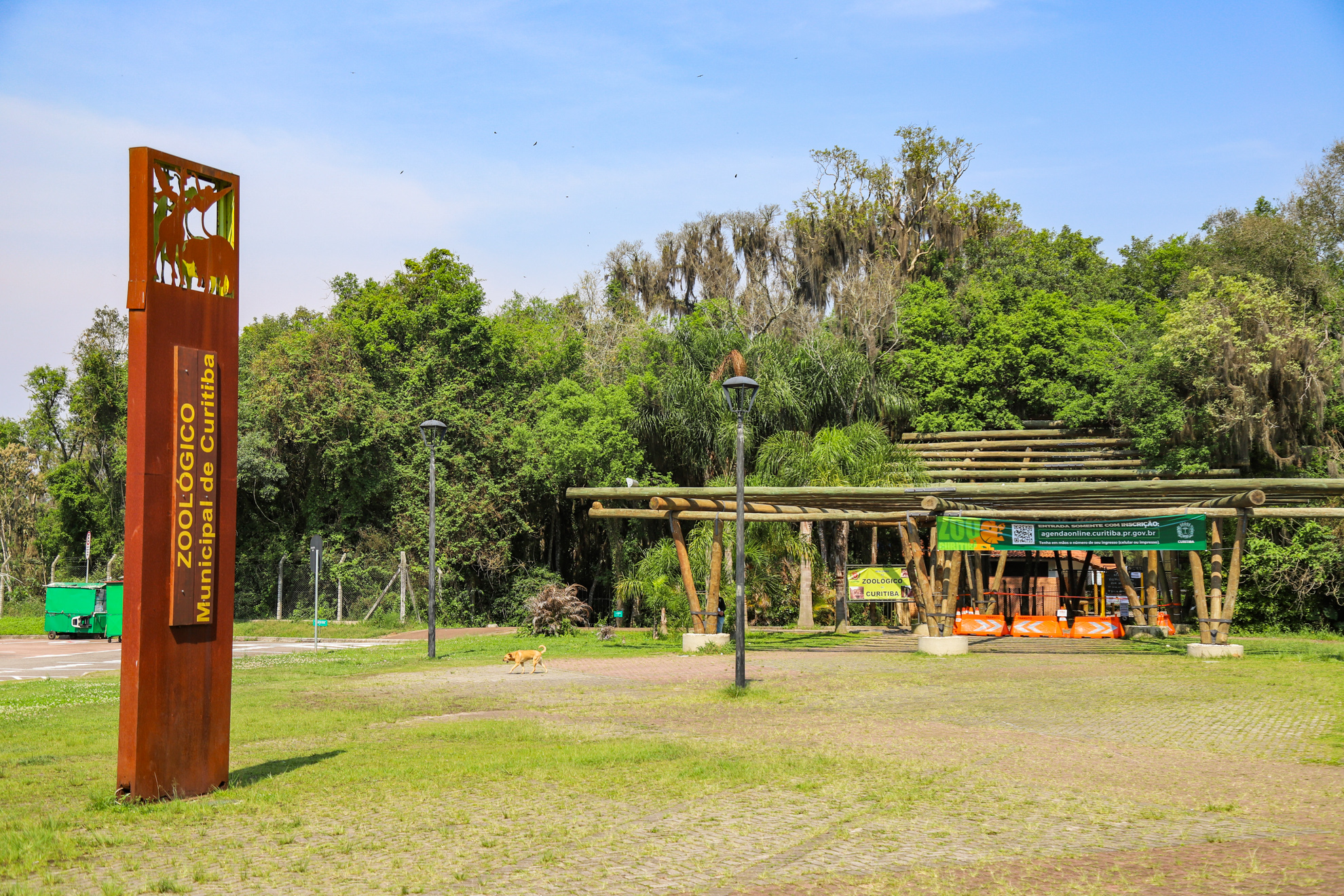 Zoo de Curitiba amplia horários e ingressos para visitas a pé ...