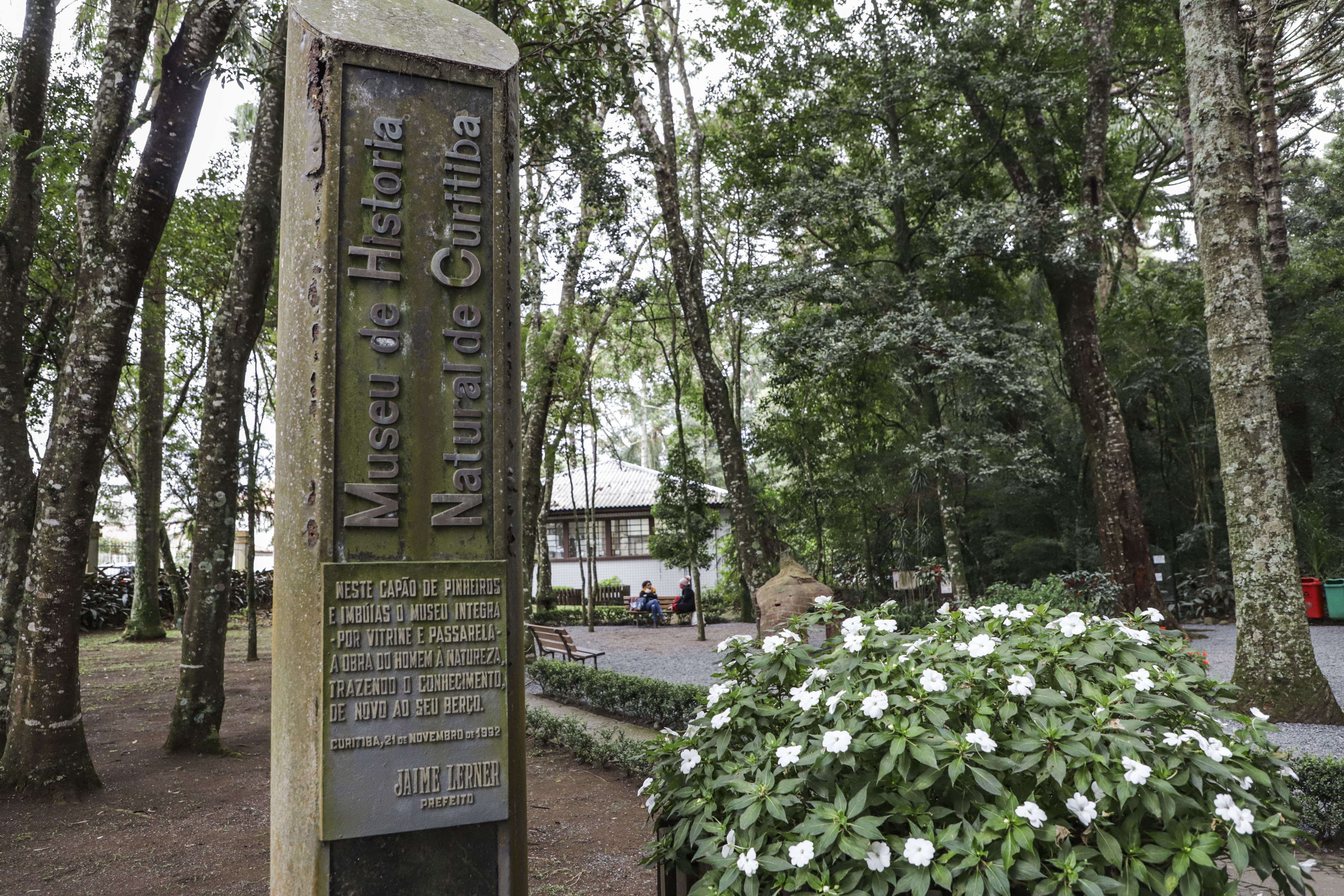 Conheça 6 museus de Curitiba que você não pode deixar de visitar ...