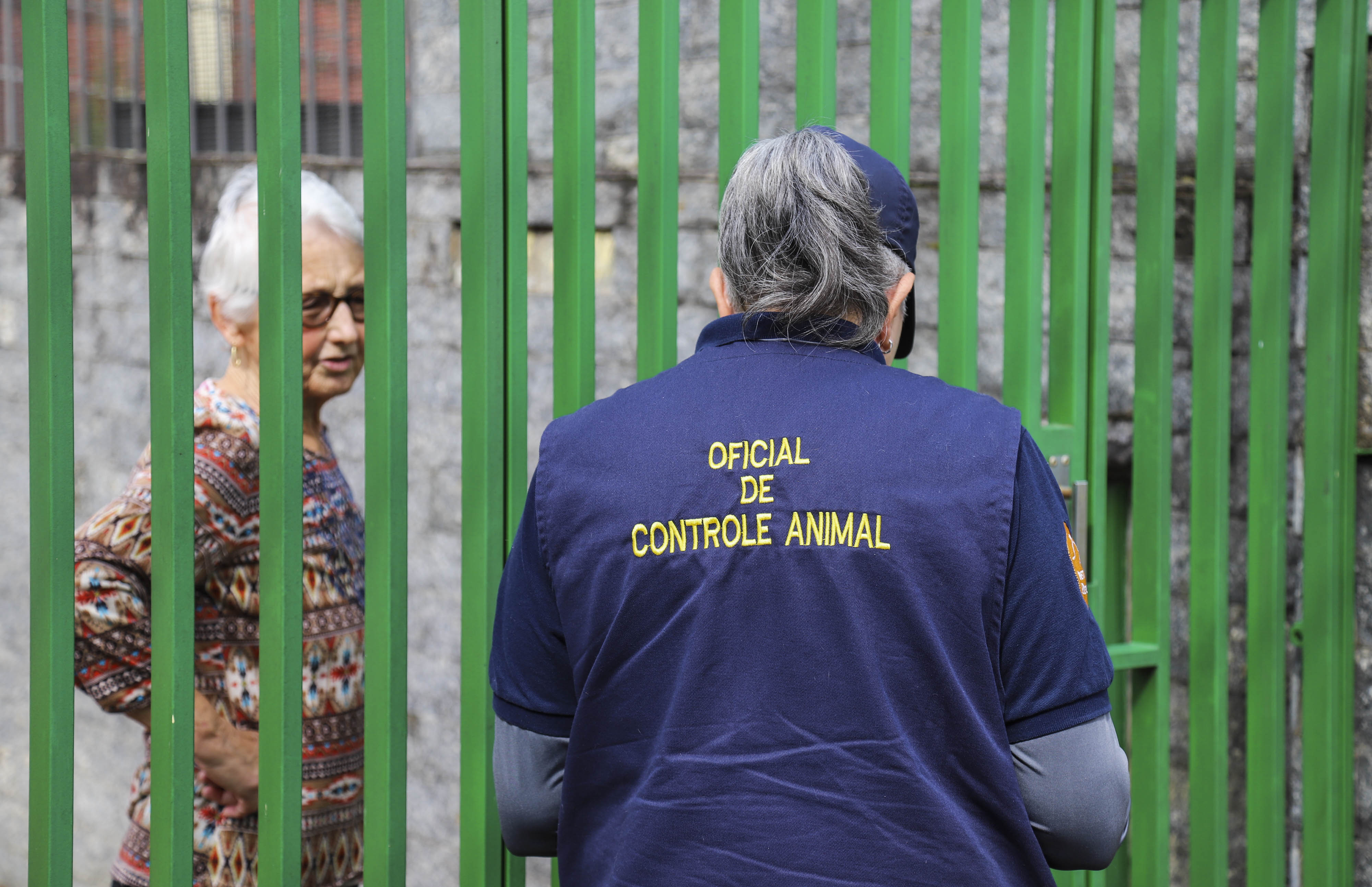 Censo Animal começa e vai apontar o número de cães e gatos em Curitiba ...