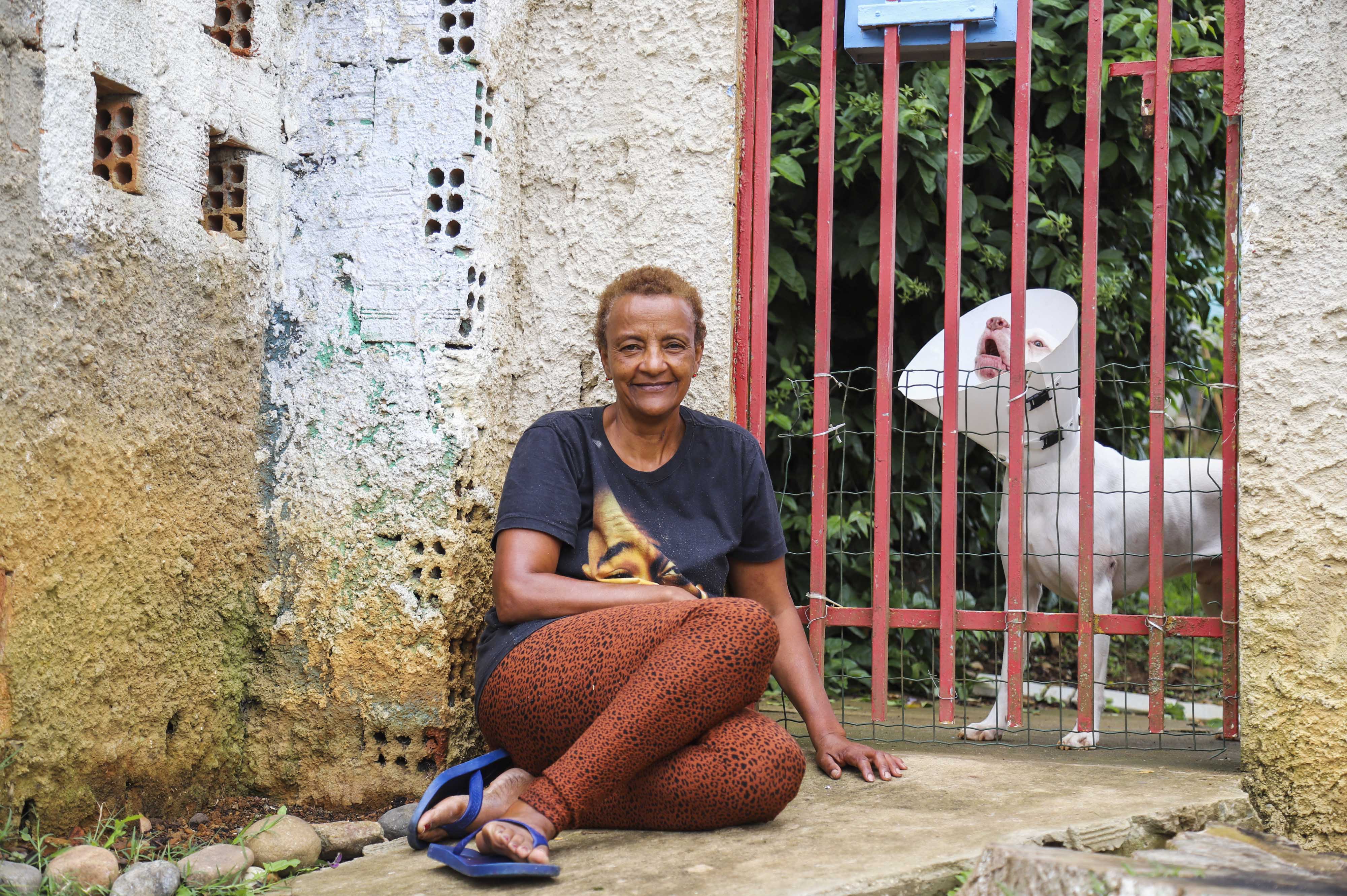 Censo Animal começa e vai apontar o número de cães e gatos em Curitiba ...