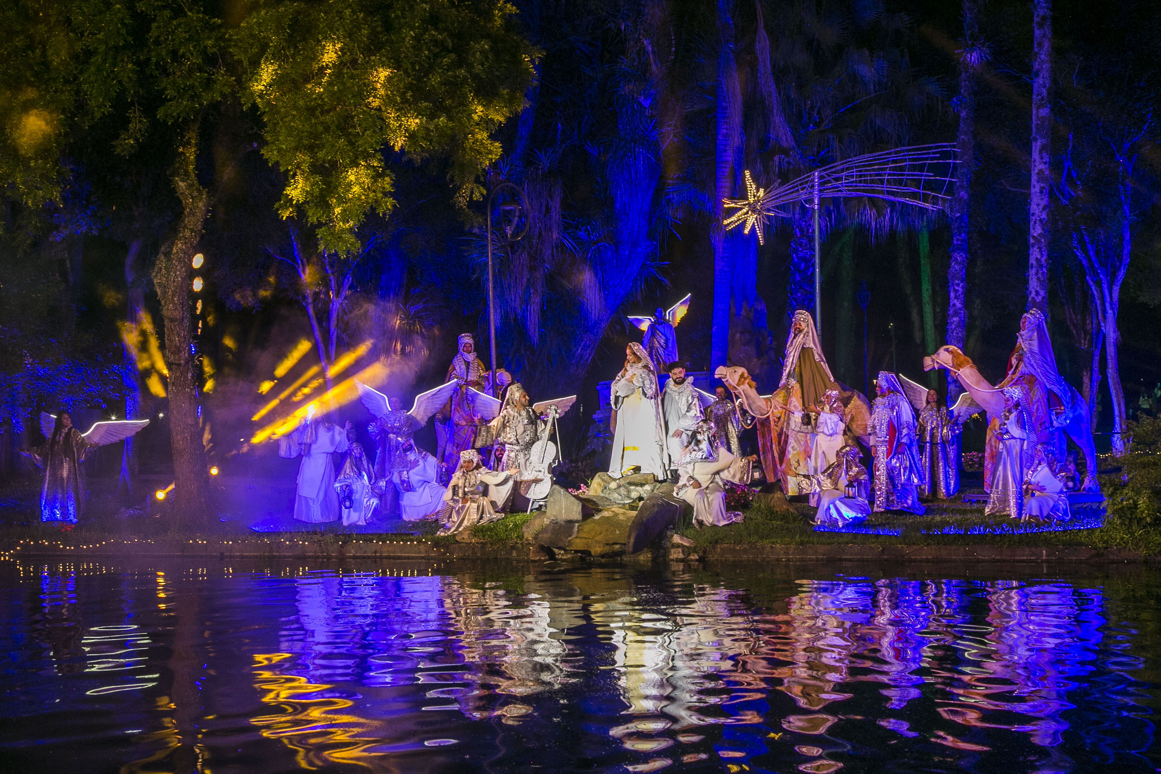 Primeiro Parque De Curitiba Passeio Público Completa 137 Anos 8750