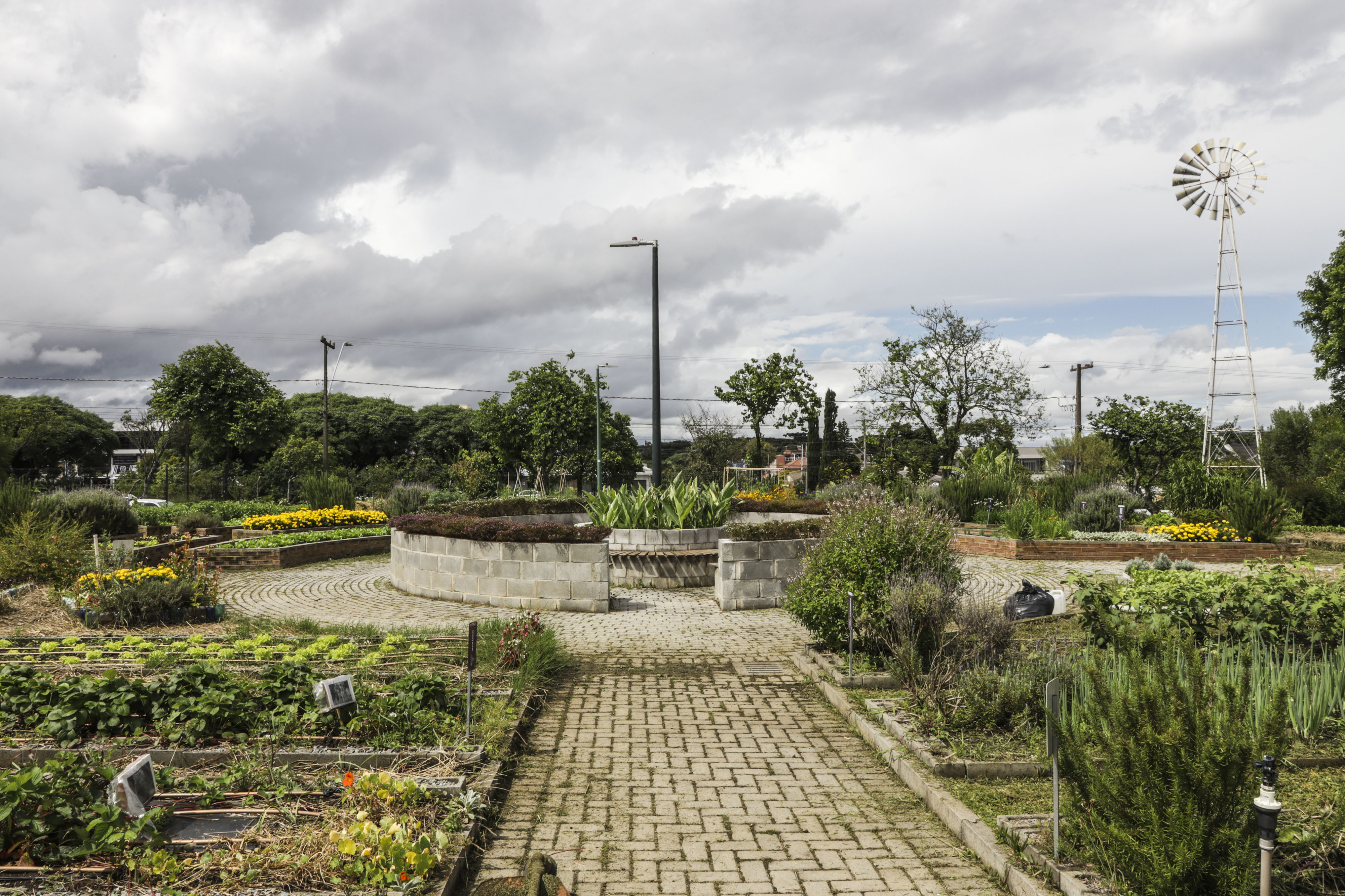Fazenda Urbana de Curitiba ensina a cultivar hortas e repelir pragas ...
