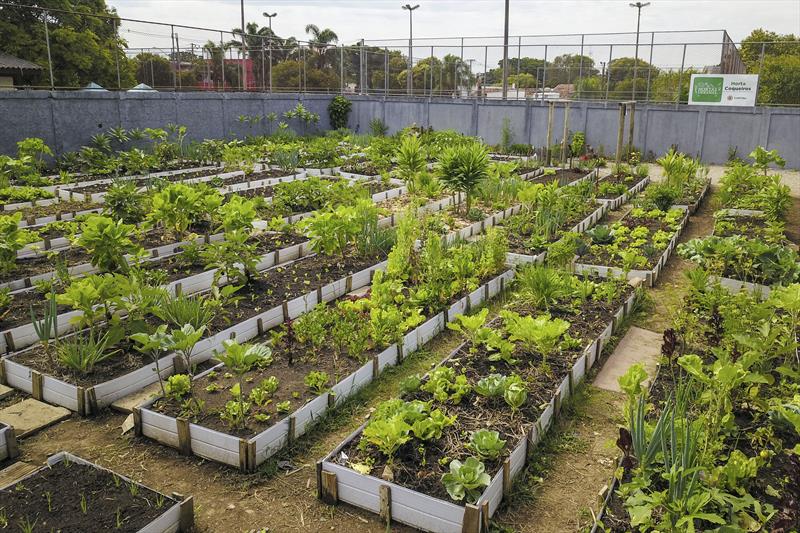 Com hortas e Fazenda Urbana, Curitiba promove produção de alimentos ...