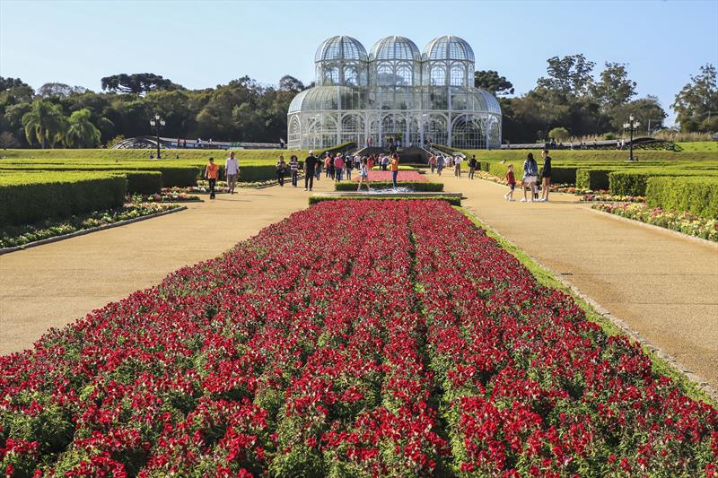 Zelo por Curitiba: saiba onde nascem as flores que enfeitam a cidade ...