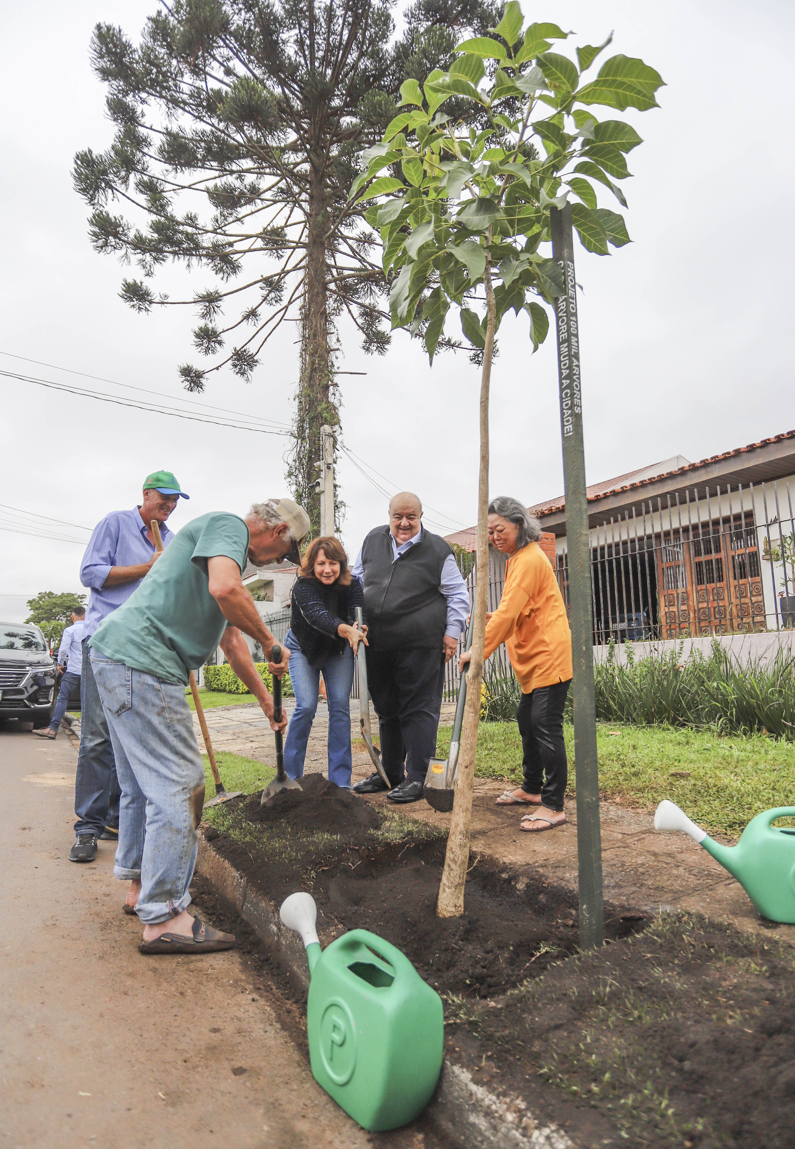 Greca acompanha o plantio de árvores no entorno da Victor Ferreira do ...