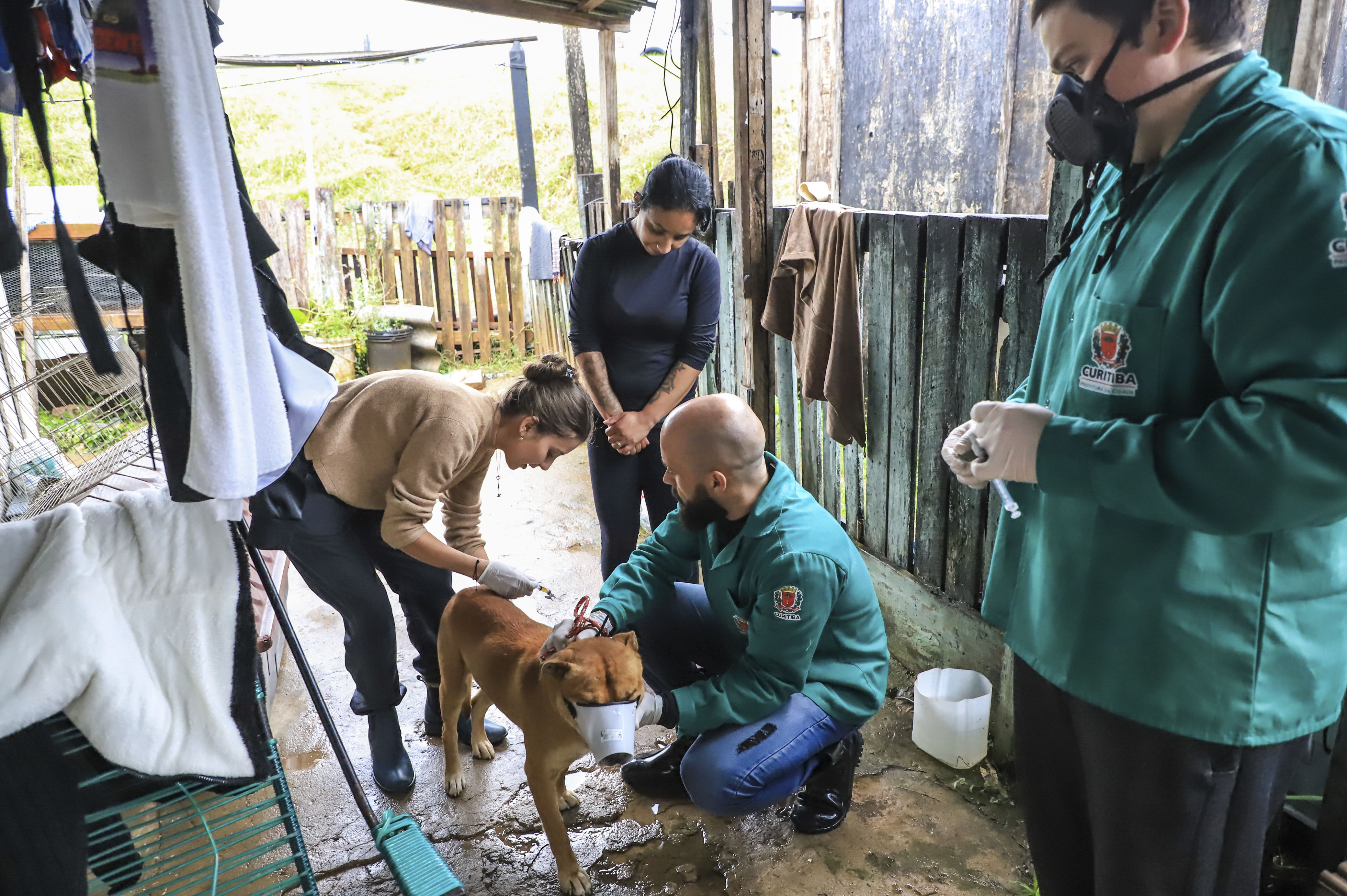 Rede de Proteção Animal oferece serviços veterinários e vacinação ...