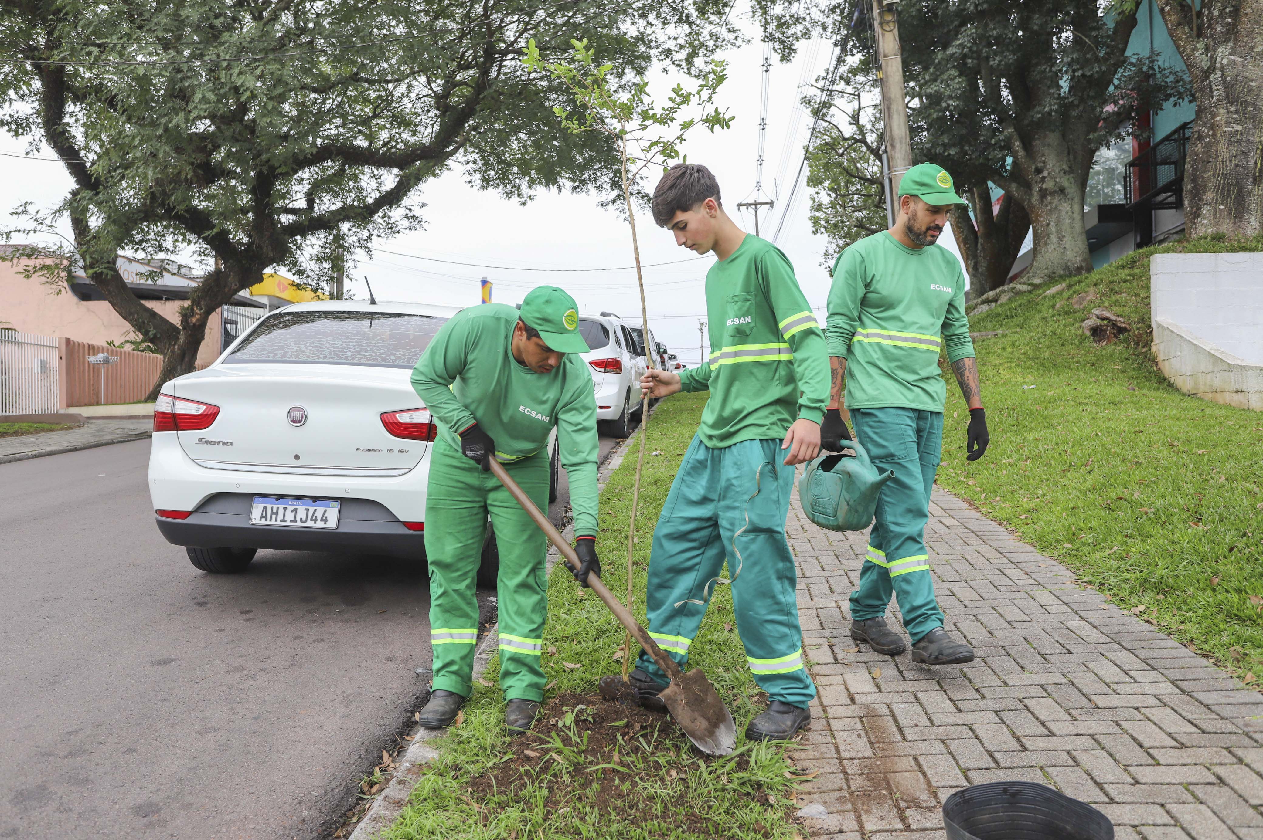 Com volta da chuva, Prefeitura de Curitiba vai retomar plantio de ...