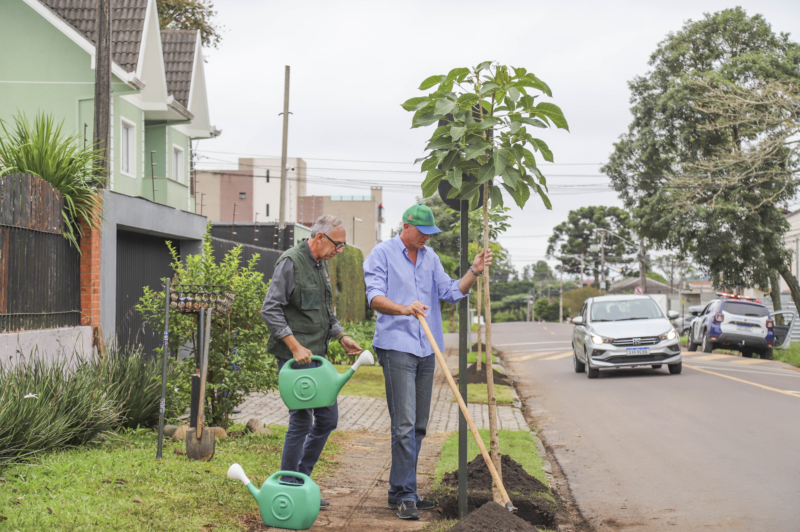 Greca acompanha o plantio de árvores no entorno da Victor Ferreira do ...