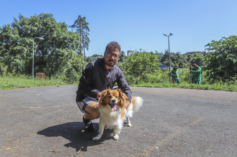 Rumo a 500 mil árvores: veja como estão as primeiras mudas plantadas ...